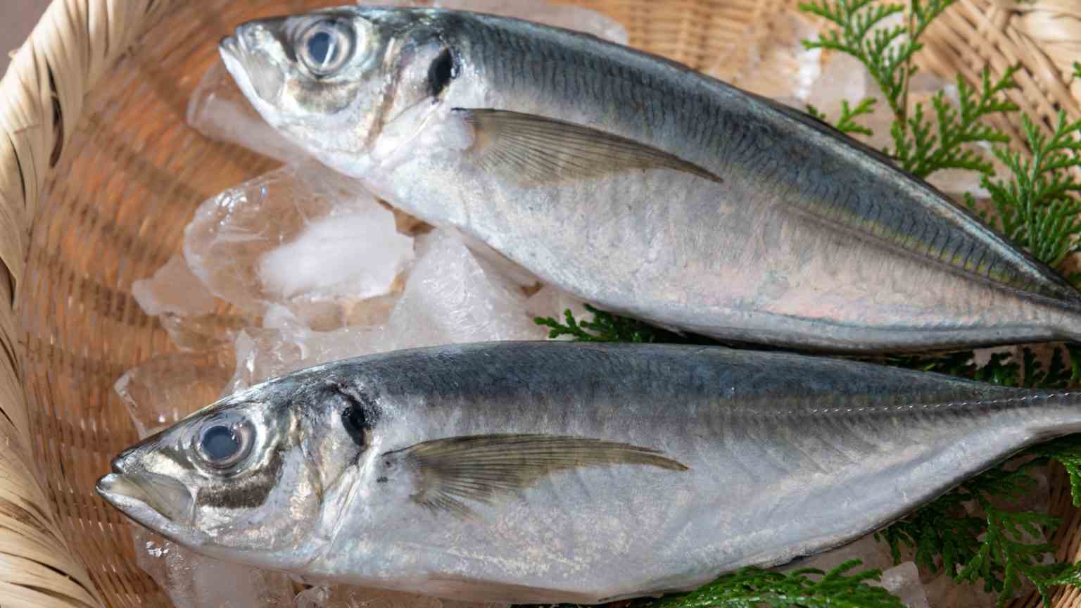 Food Import – Hanwa Thailand