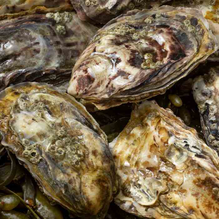 Food Import – Hanwa Thailand