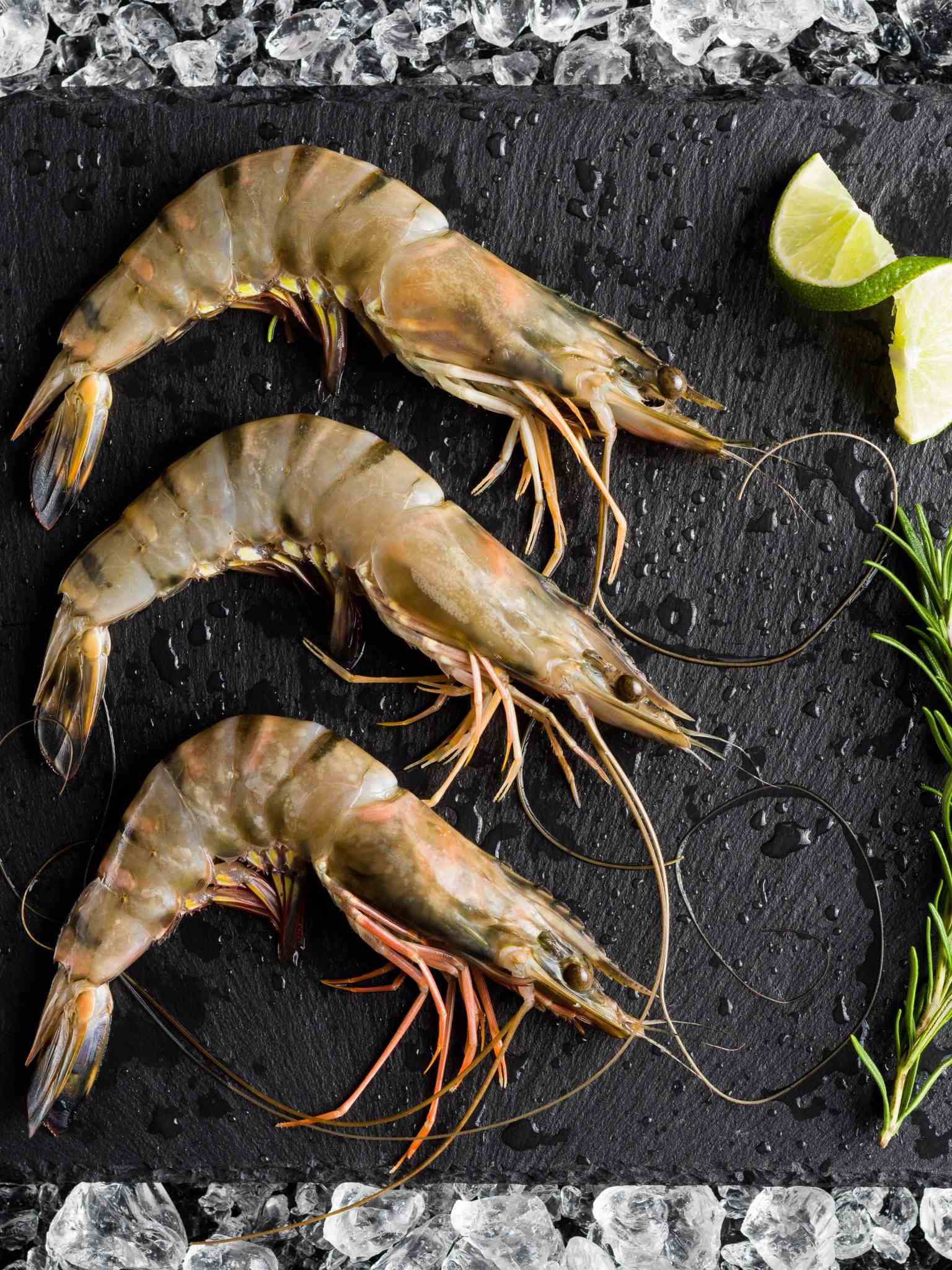 Hanwa Thailand – Hanwa Thailand Co., Ltd.